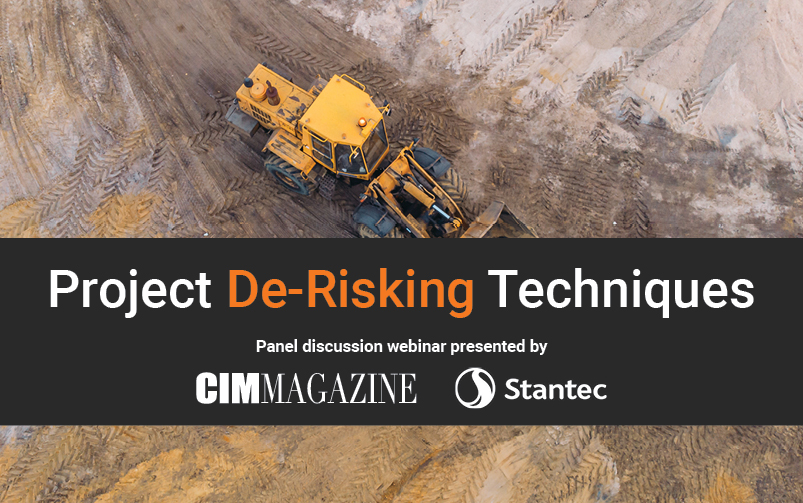 Project De-Risking Techniques
