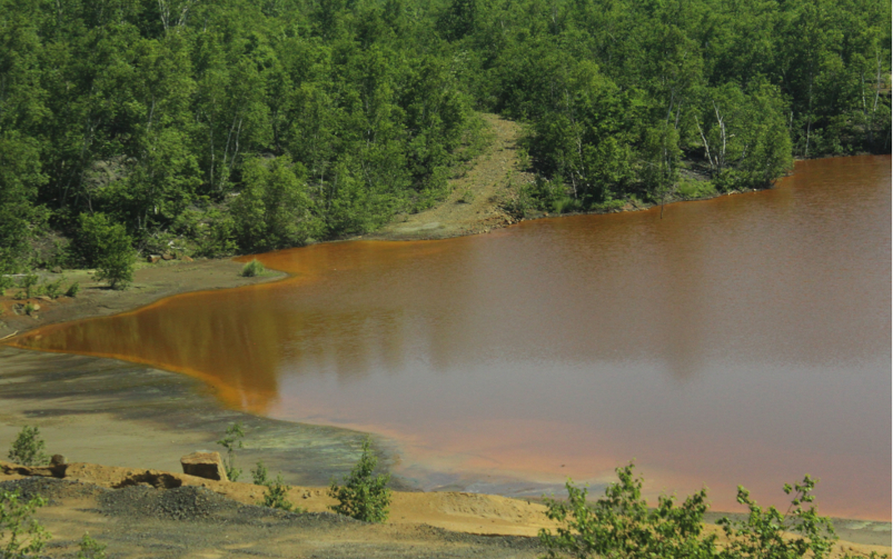 The evolution of bioleaching